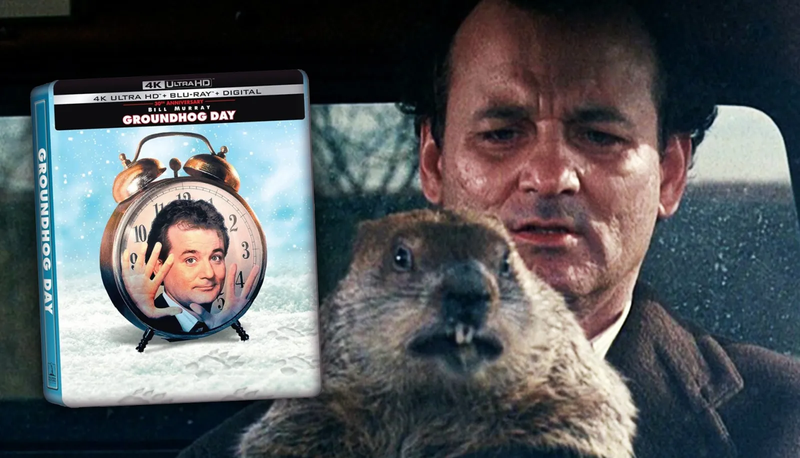 Groundhog Day (1993) - 4K Ultra HD Review