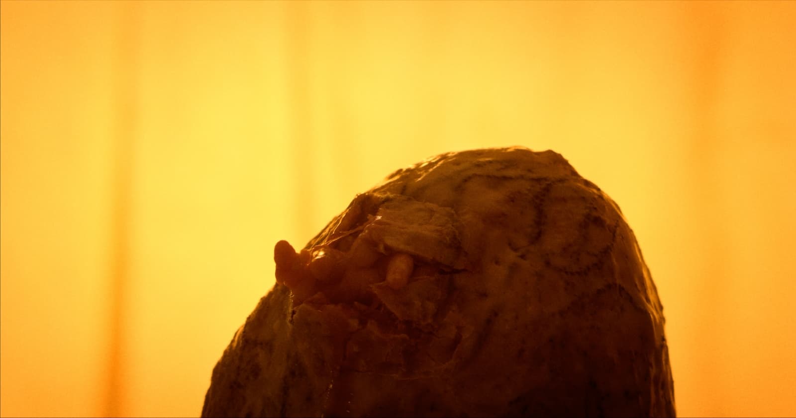 A nightmare is born in trailer for horror-comedy It Hatched