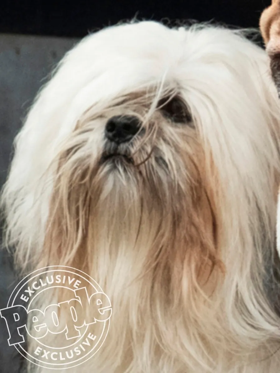 Lady and the Tramp People first look (4)