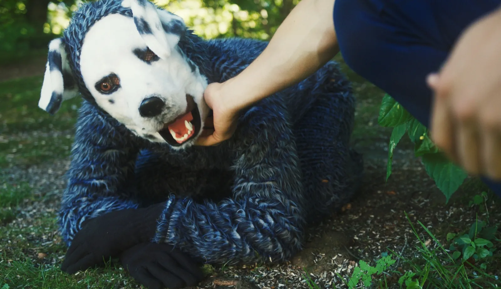 A man's best friend causes relationship problems in Good Boy trailer