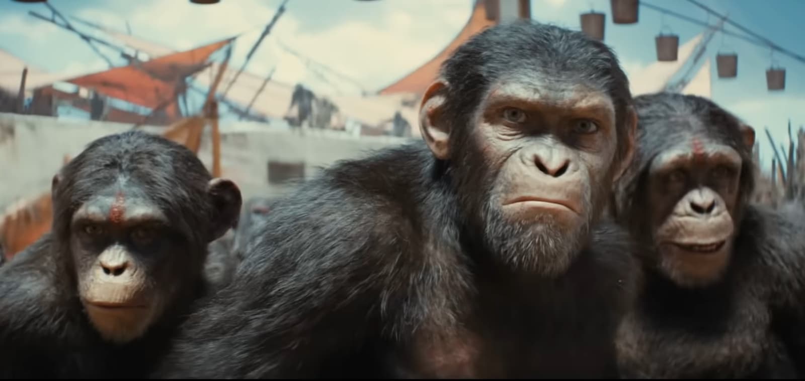 Kingdom of the Planet of the Apes gets new promos and behind-the-scenes ...